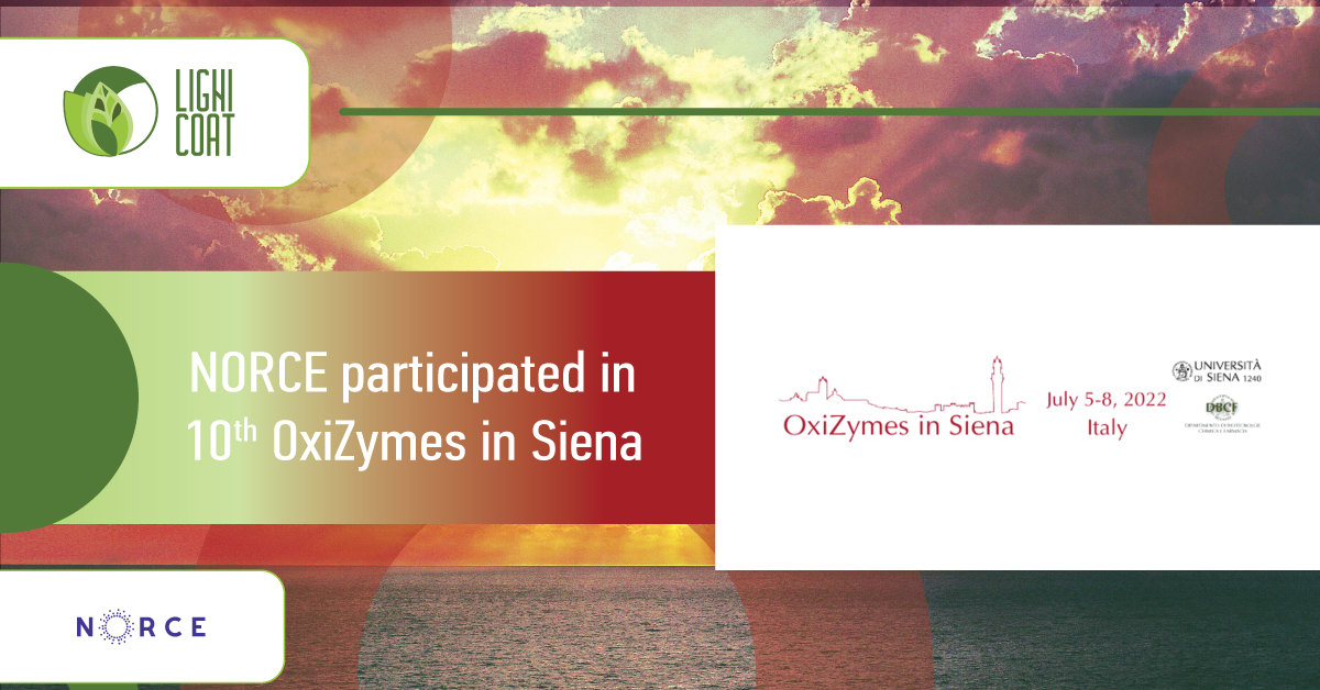 NORCE participated in the 10th OxiZymes Meeting - Lignicoat